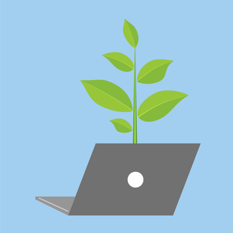 The perfect learning experience: For hybrid or remote